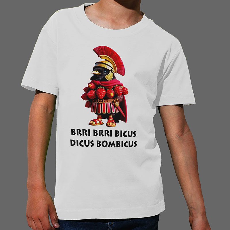 Majica ili Hoodie Brri Brri Bicus Dicus Bombicus - TATTOO MAJICE